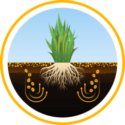 Home - Pursell Fertilizer